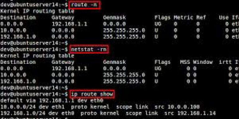 IP estática y dinámica: Diferencias y como saber cuál es la tuya - R ...